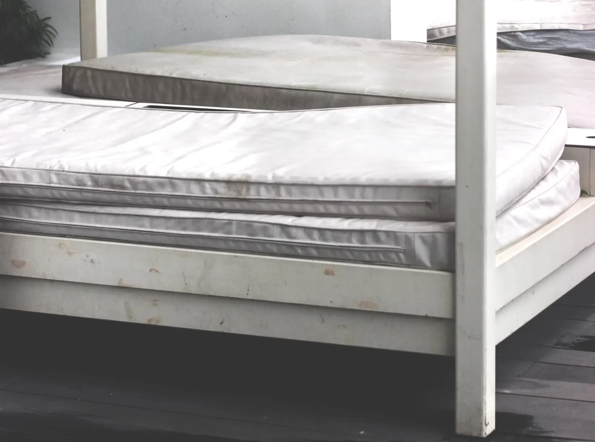 Mattress mould; Why it happens and how to treat it - John Ryan By Design